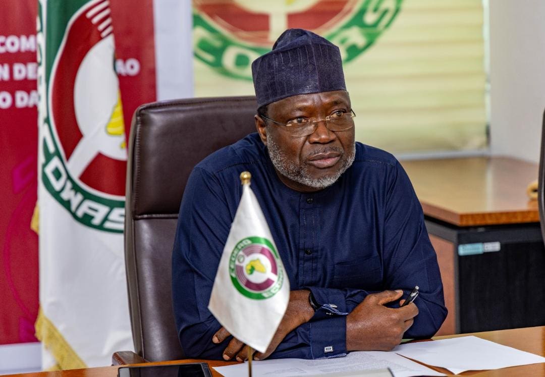 Ecowas to foster democracy, good governance in member states | APAnews ...