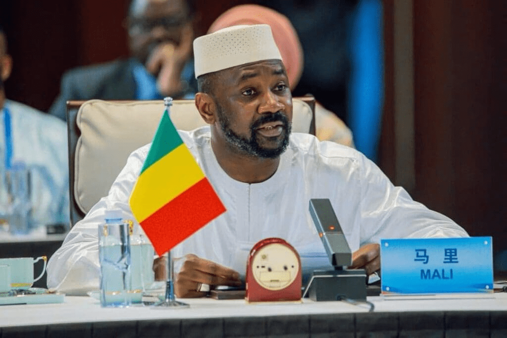 Mali's President blames "neo-colonial forces" for terrorism | APAnews ...
