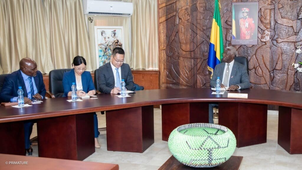 Gabon, China moot railway line to boost mining sector | APAnews ...