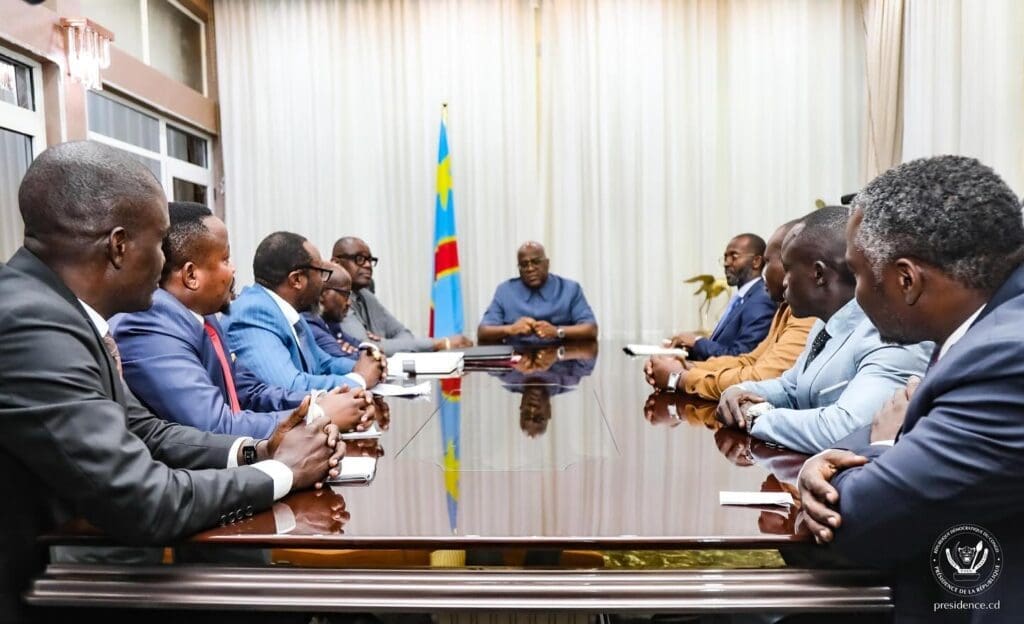 DRC leader meets Ituri lawmakers committed to peace | APAnews - African ...
