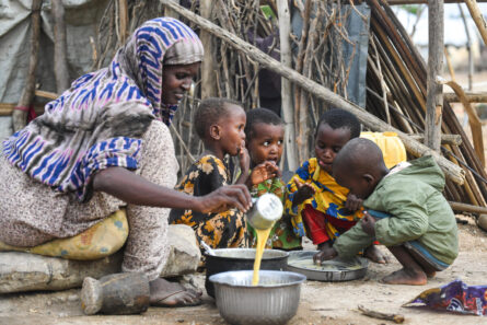 IOM issues urgent appeal for Ethiopia relief aid | APAnews - African ...