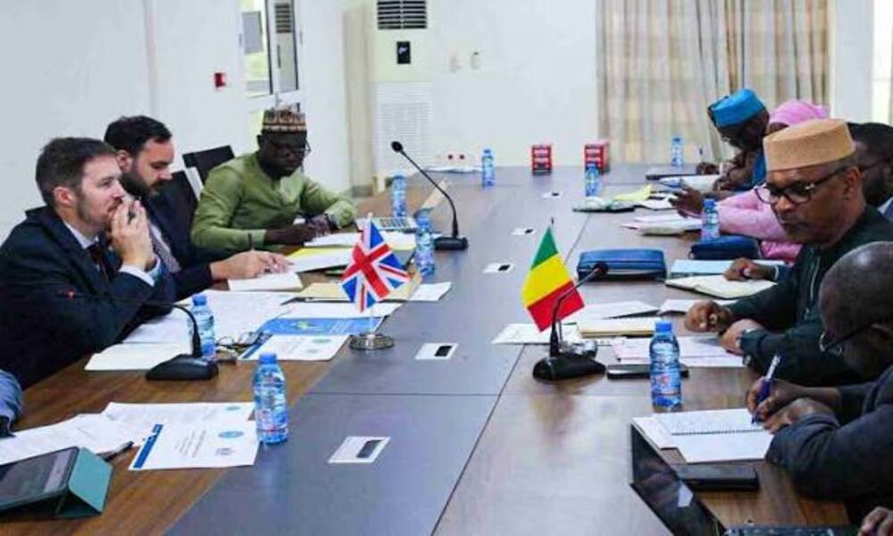 Mali, UK discuss strengthening bilateral cooperation | APAnews ...