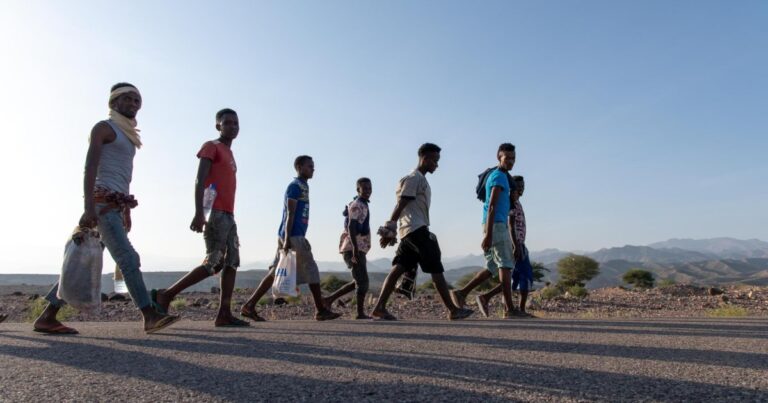 IOM warns surge in migrants along route linking Africa to Arabian ...