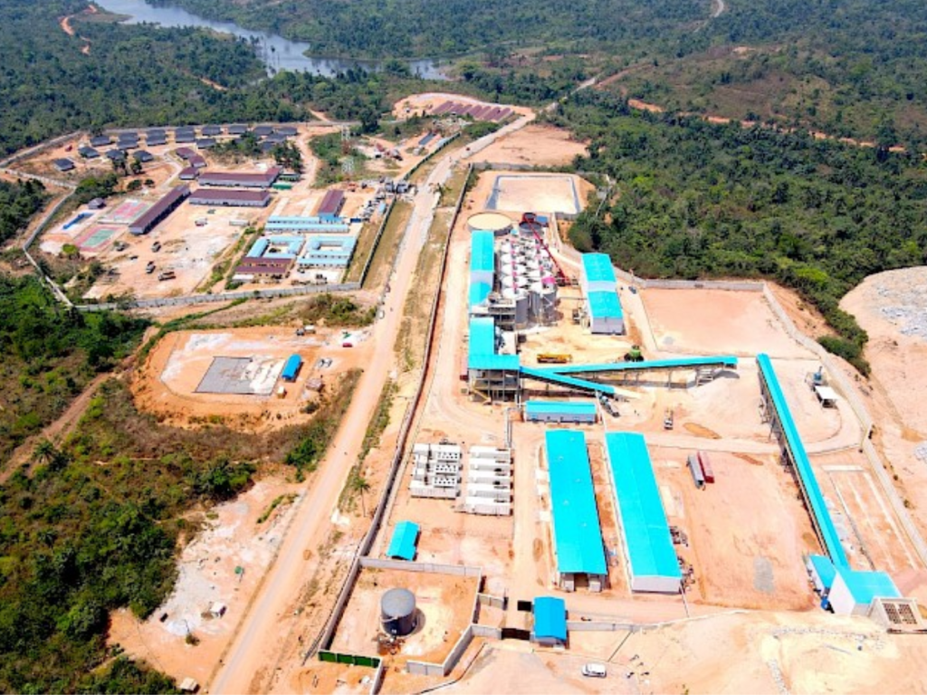 Cyanide pollution leaves multiple animals dead in Guinea | APAnews ...