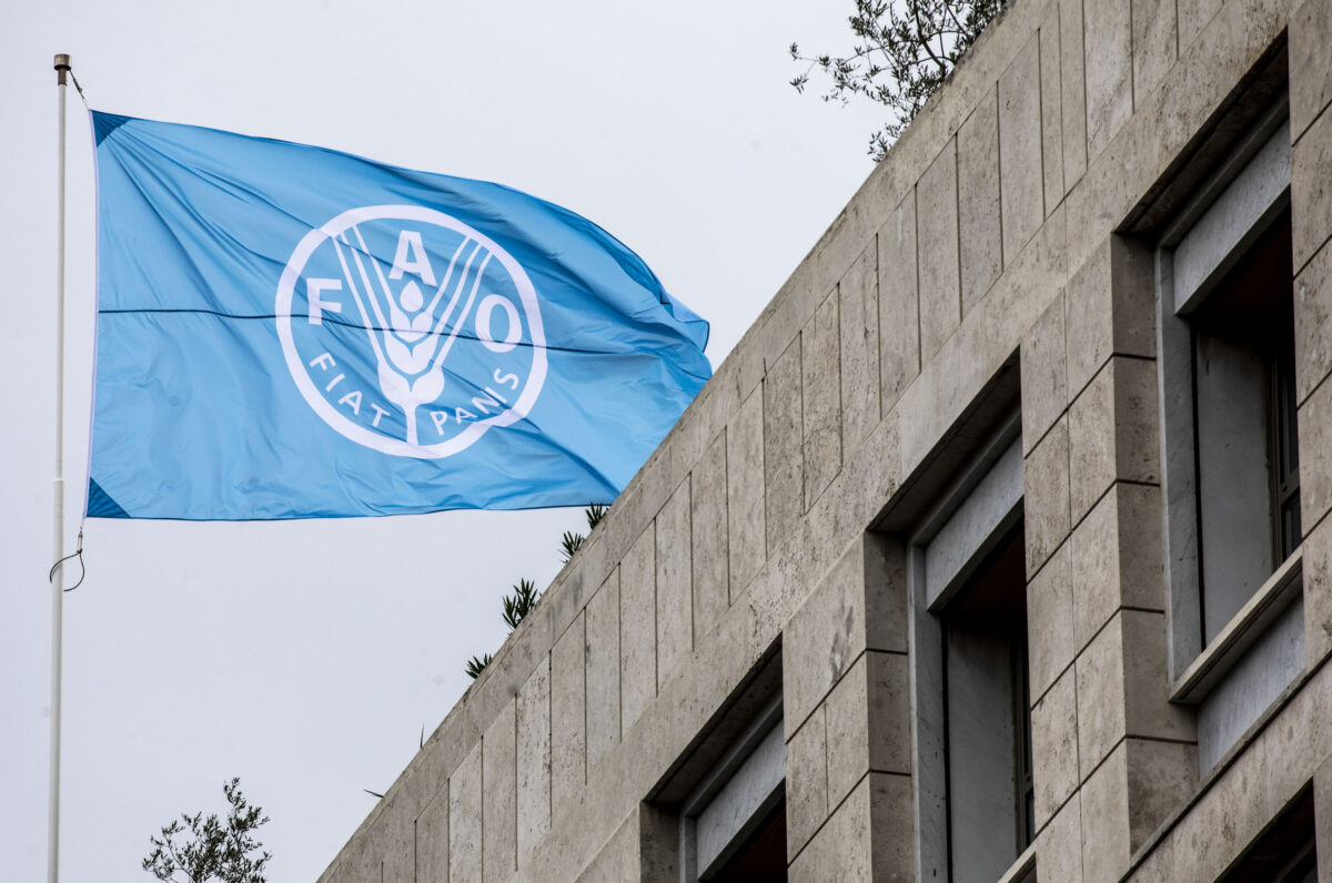 FAO, Zimbabwe roll out voucher support for 4,000 families | APAnews ...