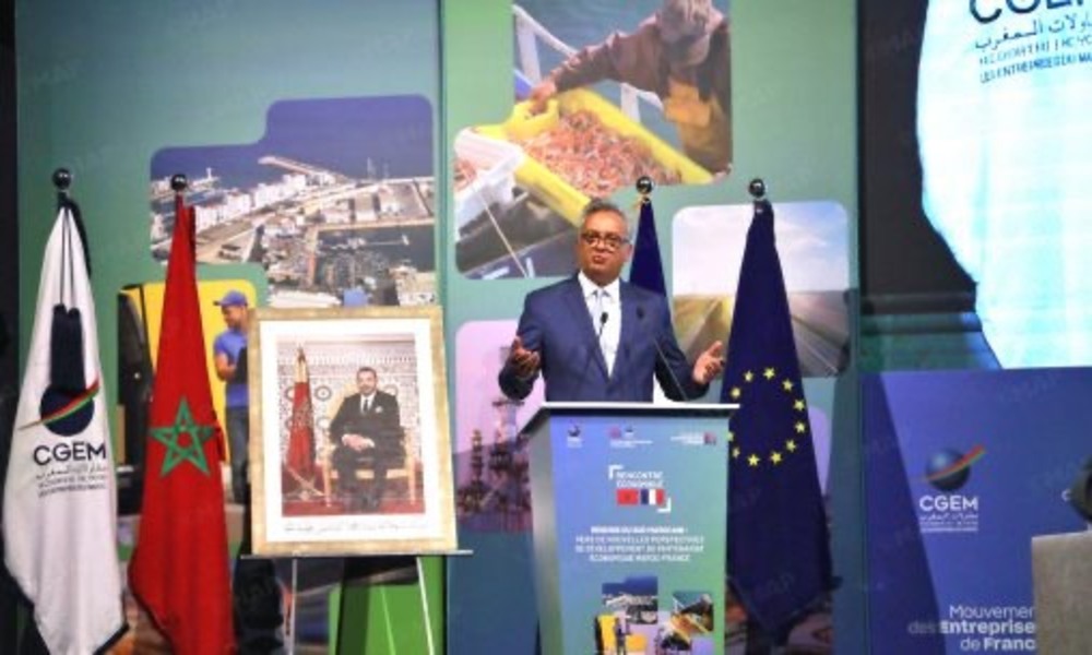 Southern Provinces emerge as key hub for Morocco-France partnership ...