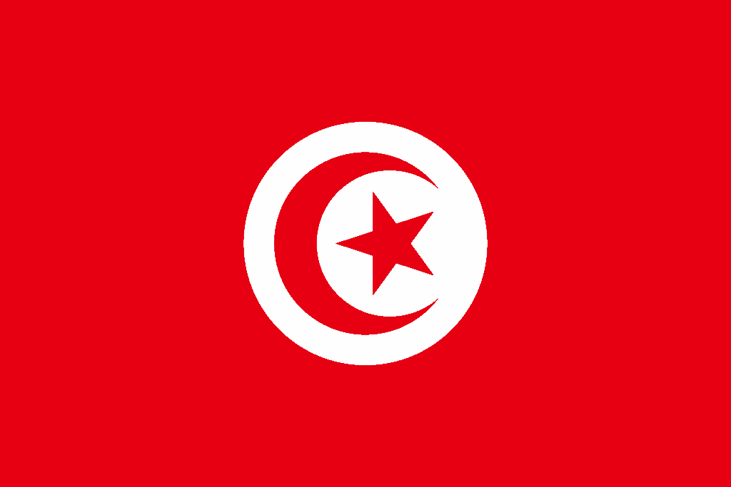Tunisia engineer exodus tops 45,000 (Alert) | APAnews - African Press ...