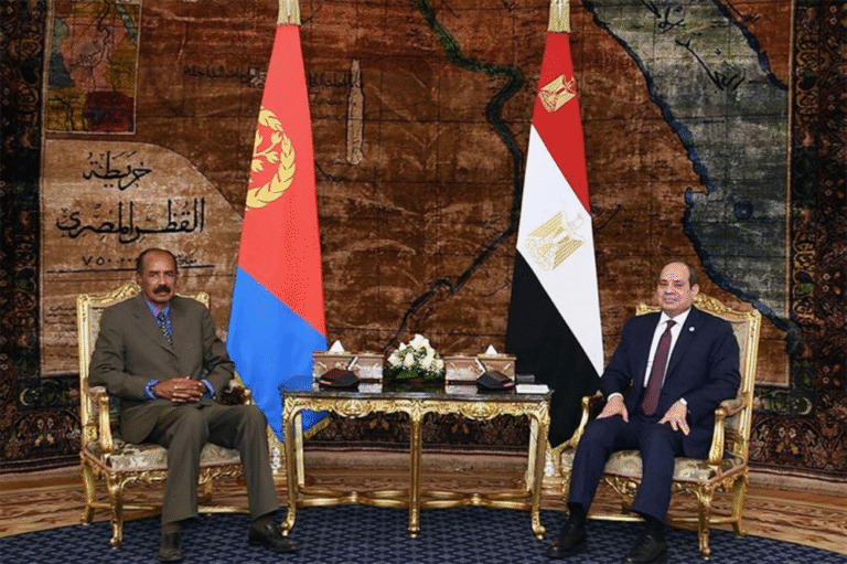Egypt and Eritrea seal Red Sea security alliance | APAnews - African Press Agency