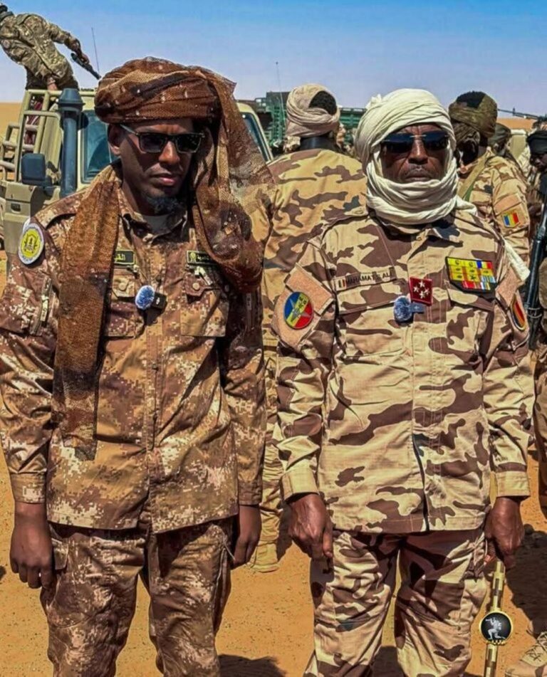 Libya, Chad joint force under Saddam Haftar’s command | APAnews ...