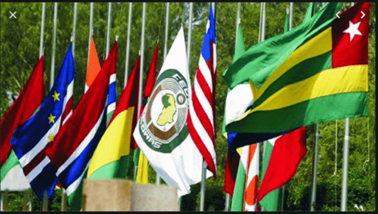 Ecowas suspends Guinea-Bissau over coup | APAnews - African Press Agency