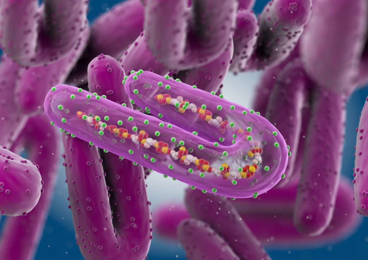 Ethiopia declared free of Marburg outbreak | APAnews - African Press Agency