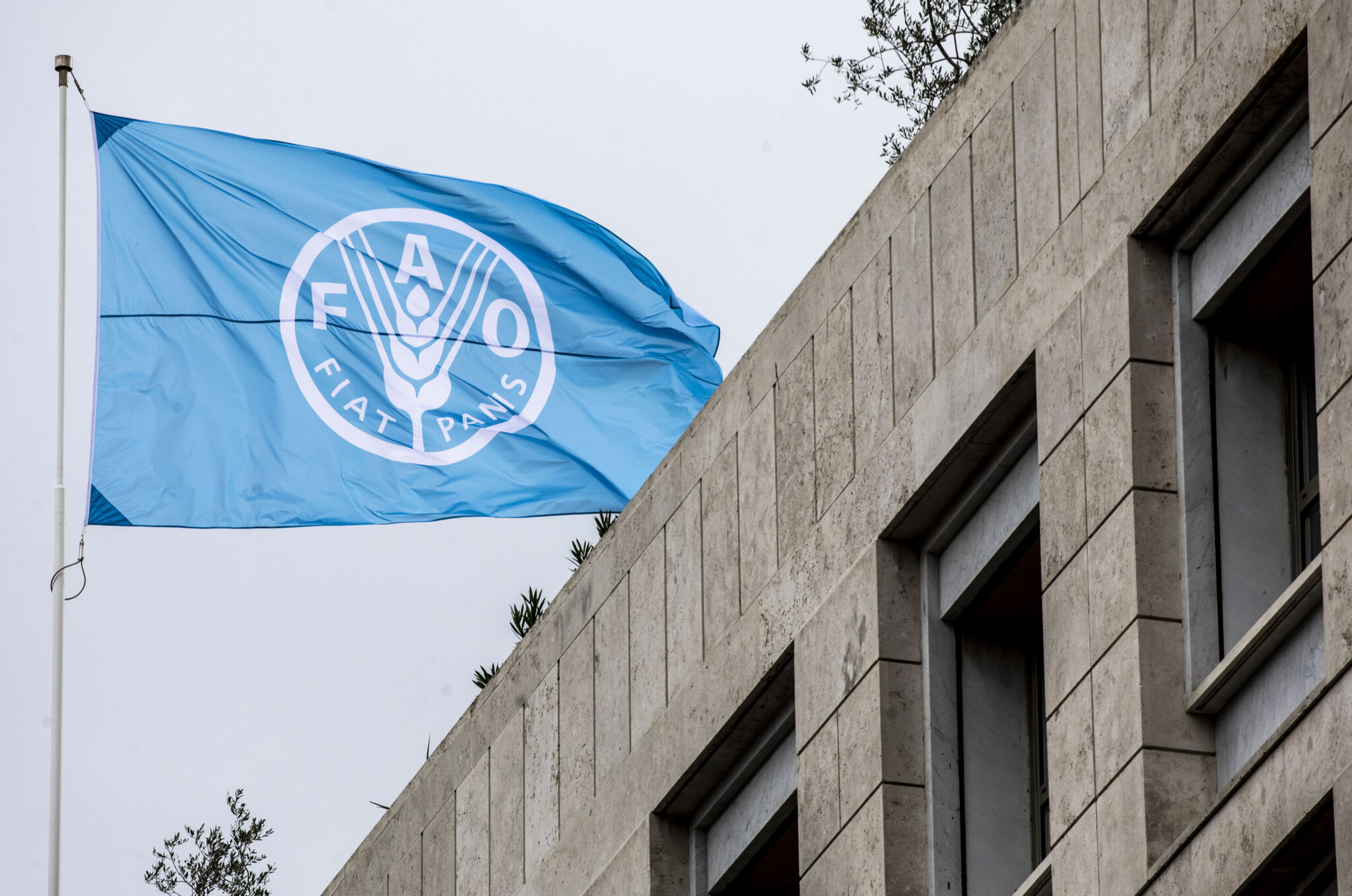 FAO collaborates with Nigerian ministries to strengthen food security ...