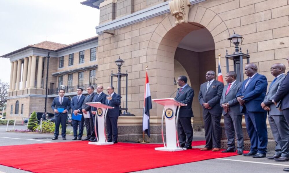 Egypt to fund $100m water infrastructure and dam projects in Kenya ...