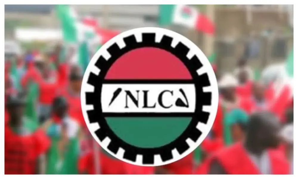 Nigeria Labour Congress demands protection for migrants in South Africa ...