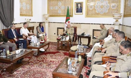 Algeria outlines non-alignment in military terms | APAnews - African ...